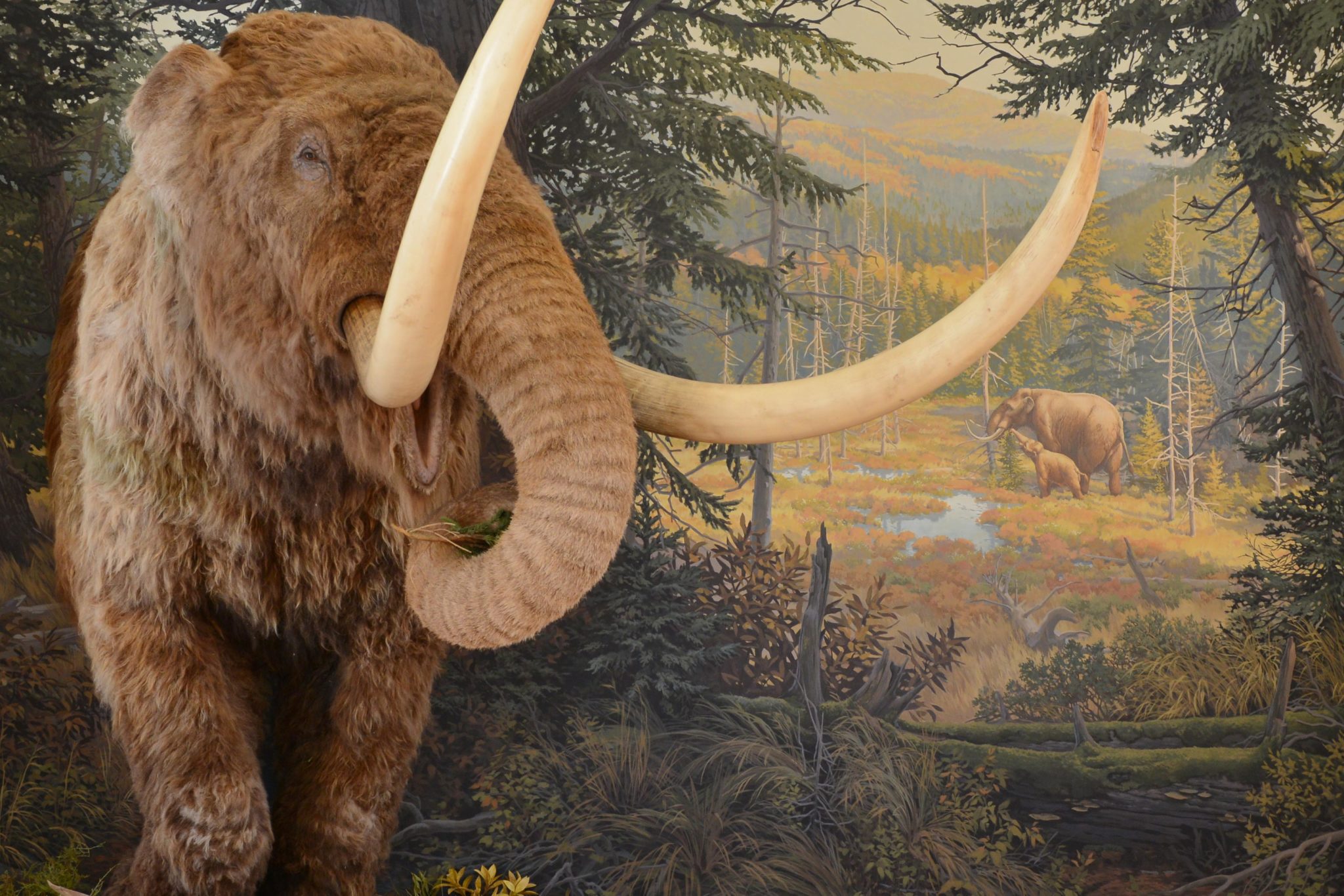 Remember the Mastodon - Staten Island Museum