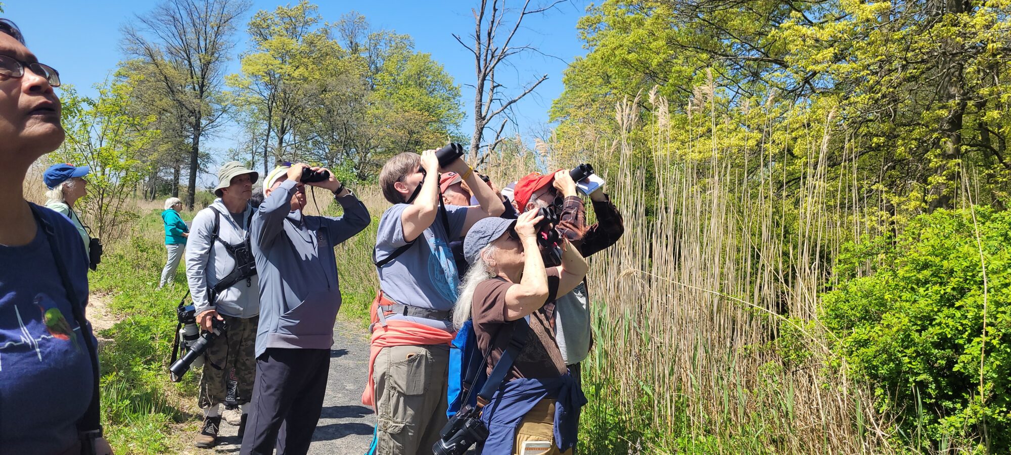 Bird and Nature Walk: Conference House Park - Staten Island Museum