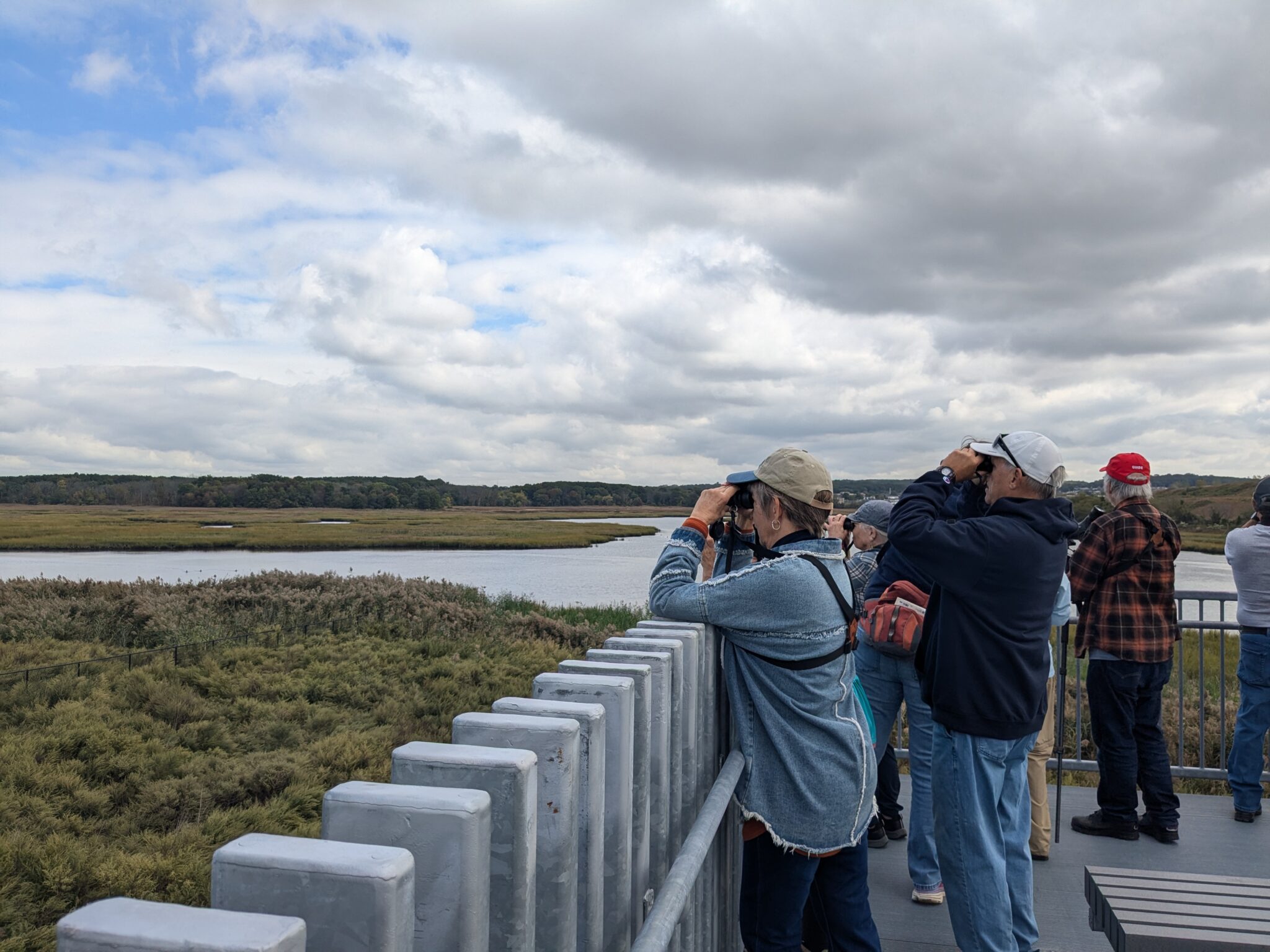 Bird and Nature Walk: Freshkills-North Park - Staten Island Museum